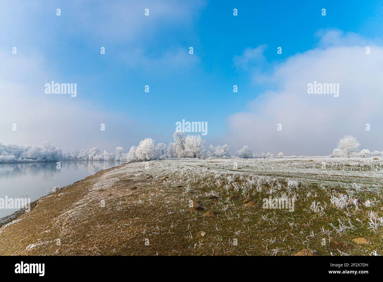 Winter landscape with amazing rime on the tree Stock Photo - Alamy