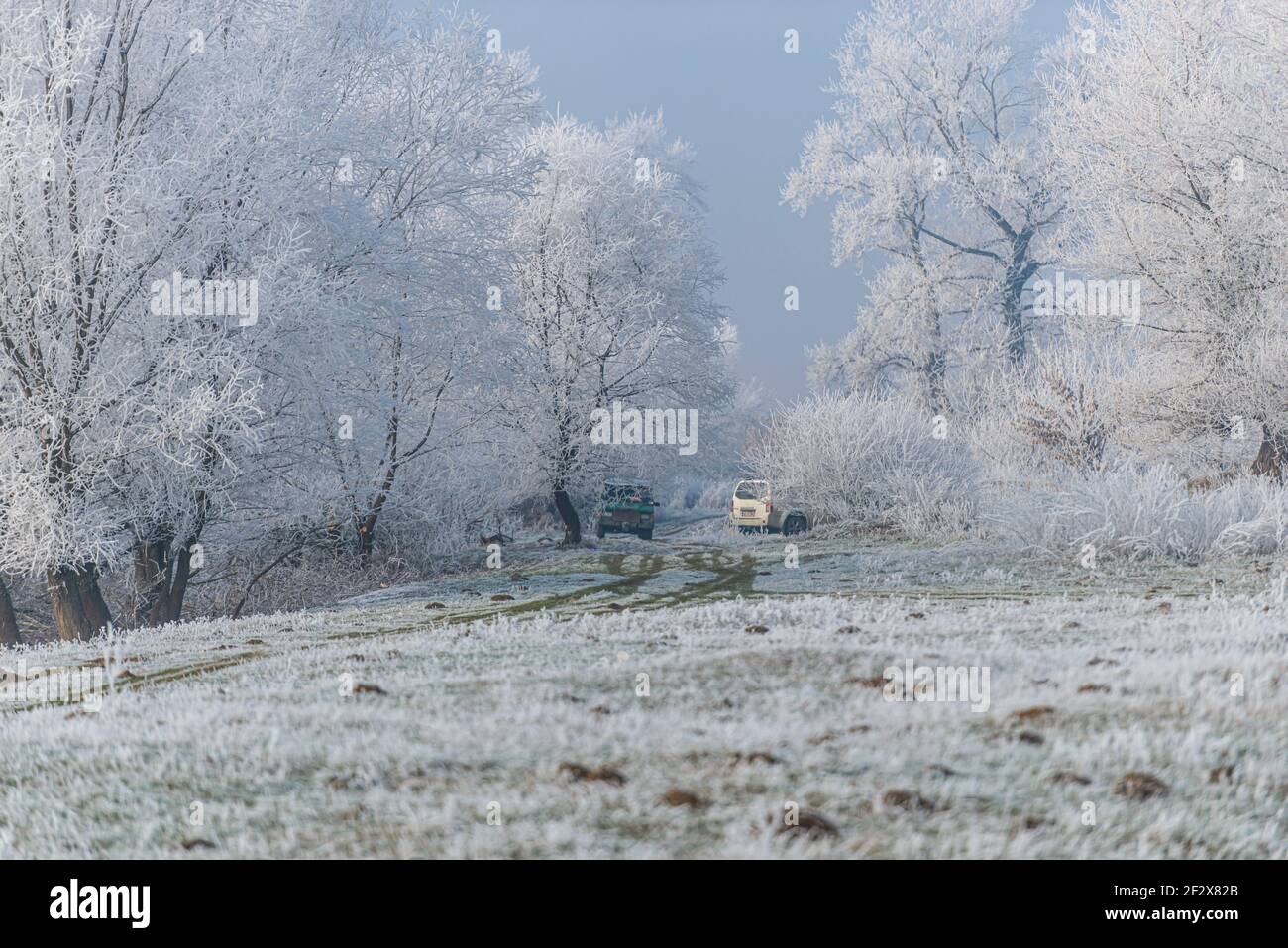 Winter landscape with amazing rime on the tree Stock Photo - Alamy
