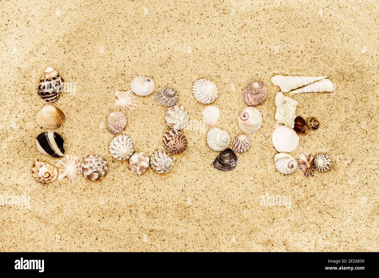 Love shells hi-res stock photography and images - Alamy