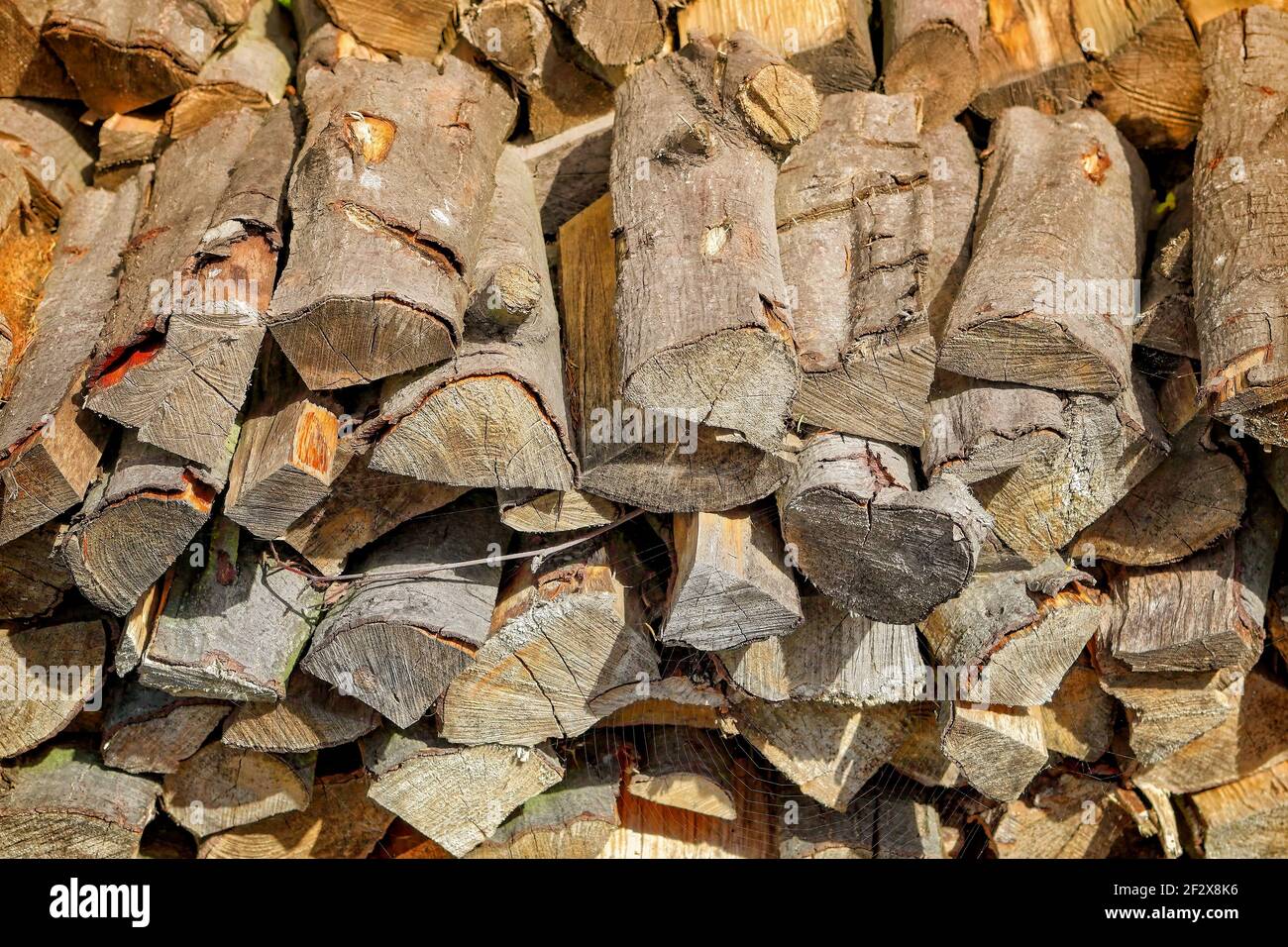 Preparation of firewood for the winter Stock Photo - Alamy
