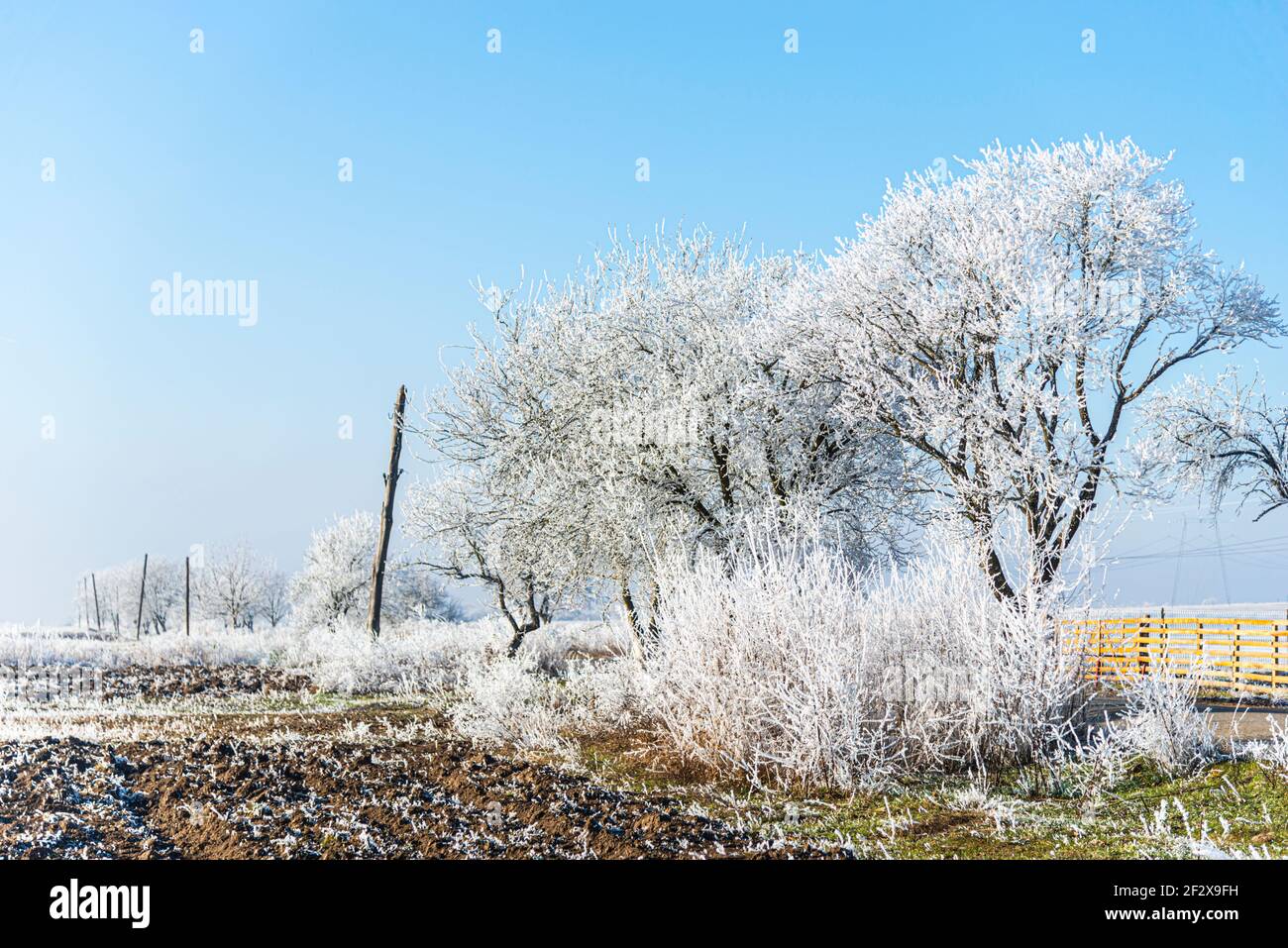 Winter landscape with amazing rime on the tree Stock Photo - Alamy