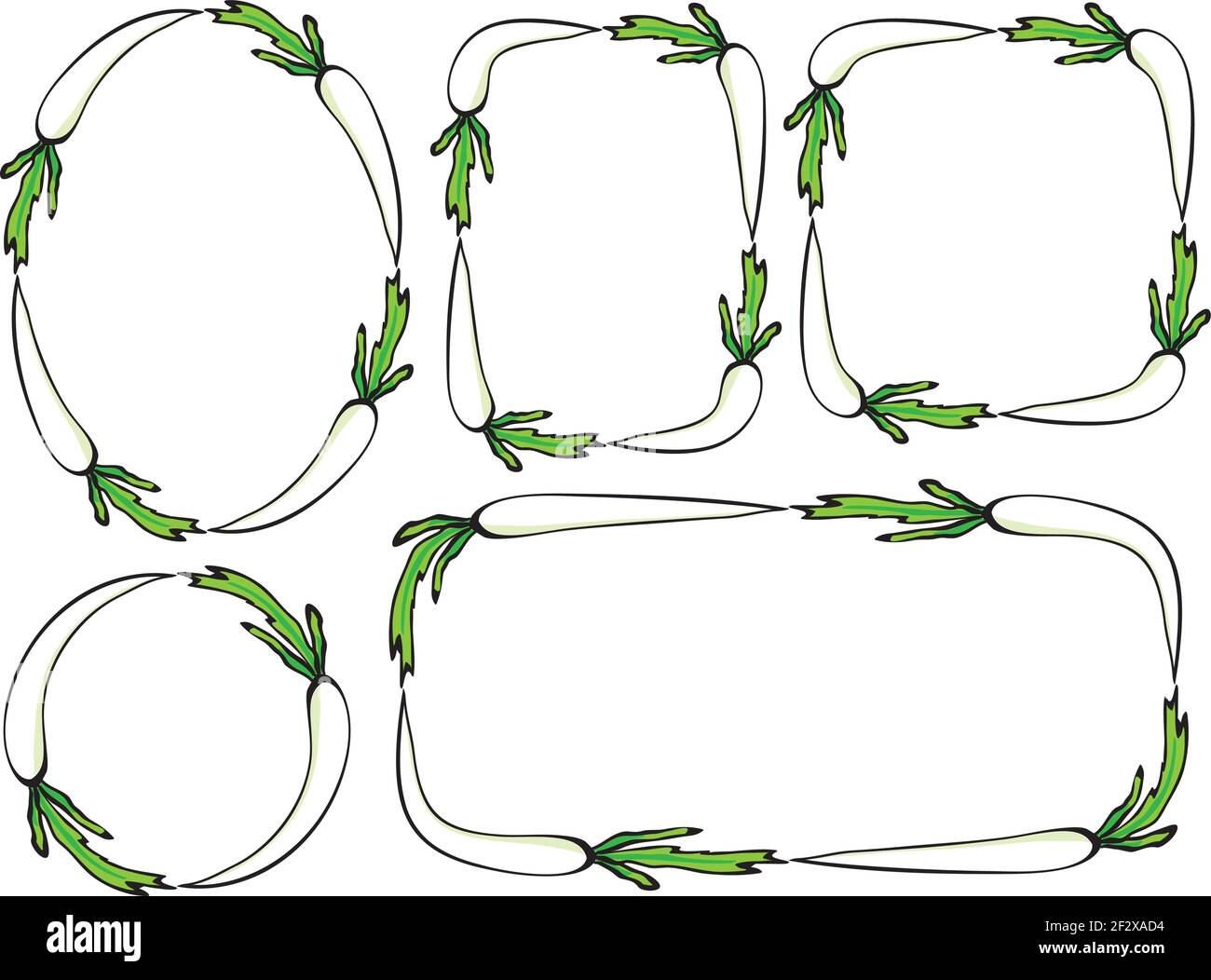 White radish design set background Stock Vector Image & Art - Alamy
