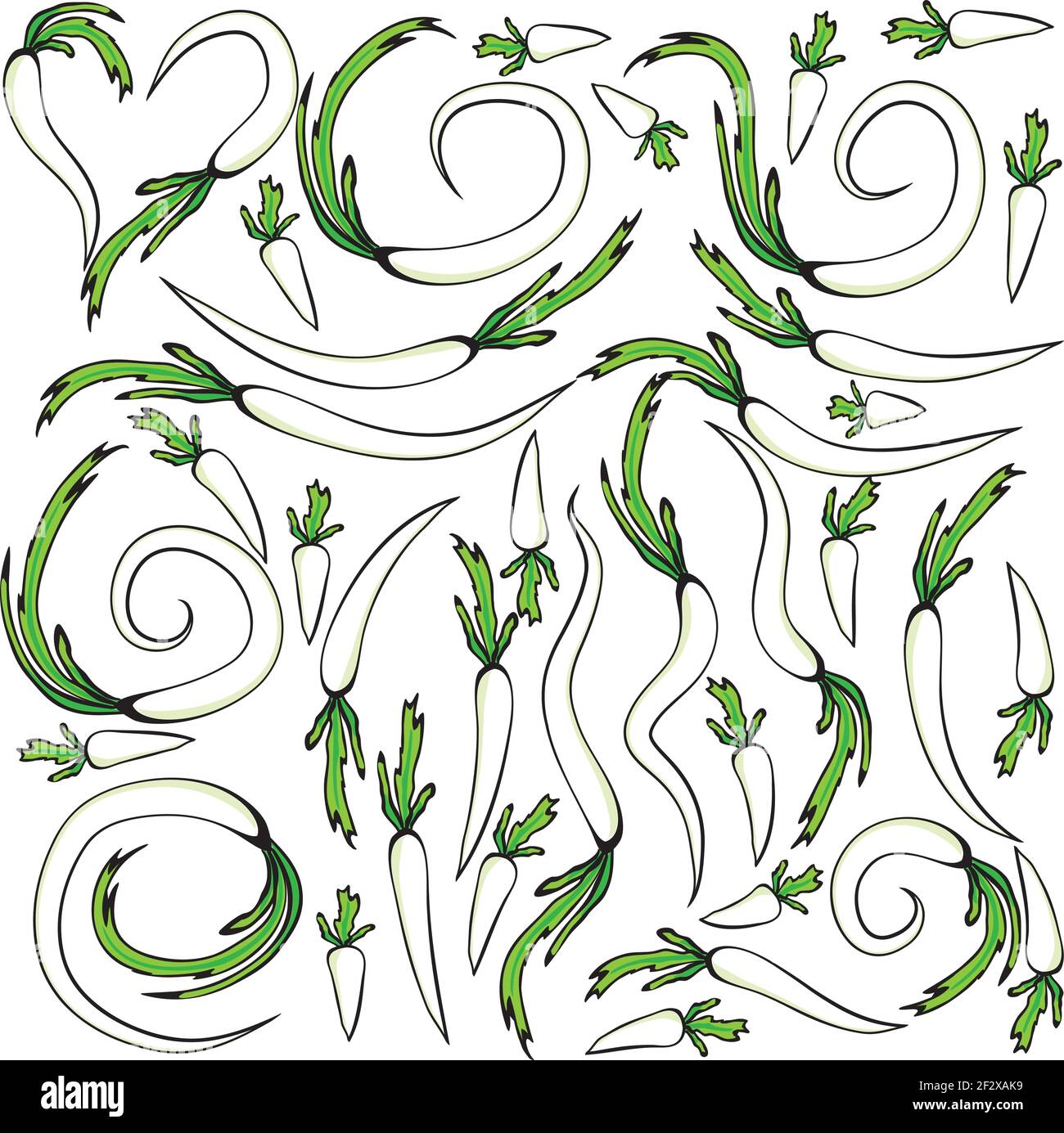 White radish design set background Stock Vector Image & Art - Alamy
