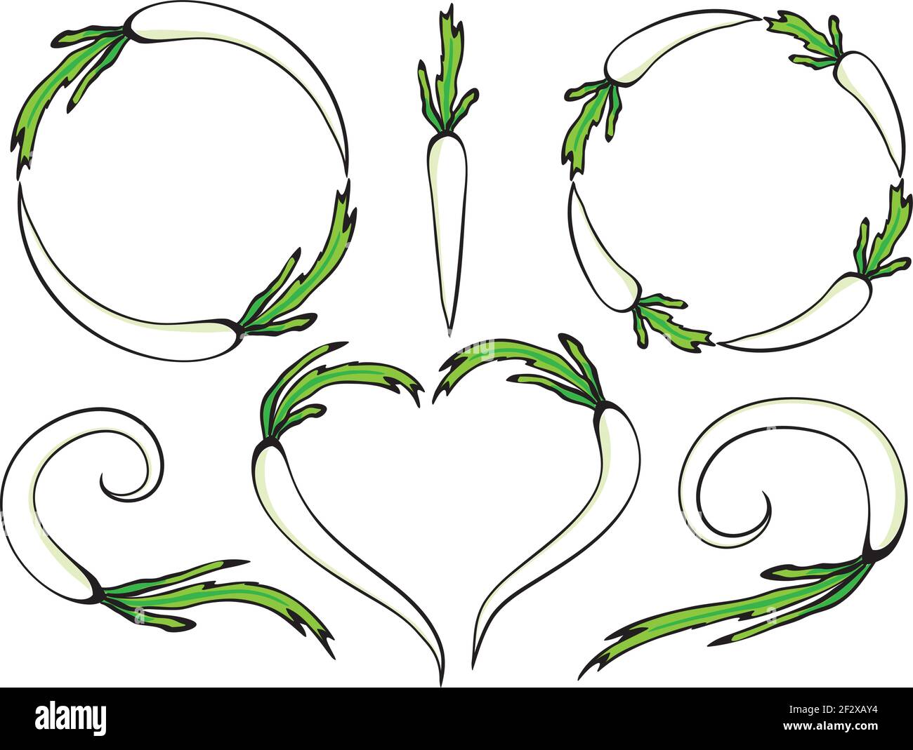 White radish design set background Stock Vector Image & Art - Alamy