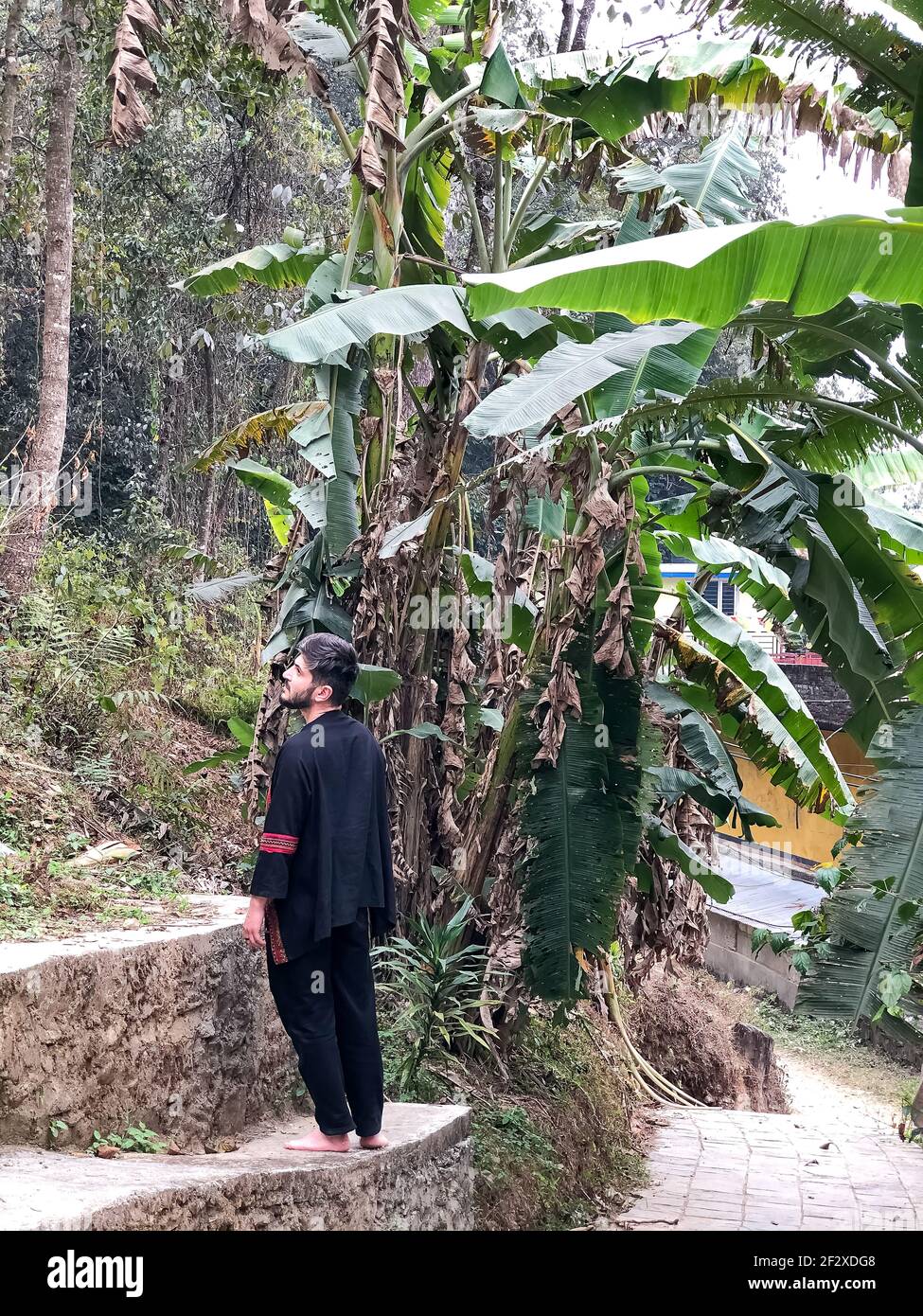 Person in the forest hi-res stock photography and images - Alamy