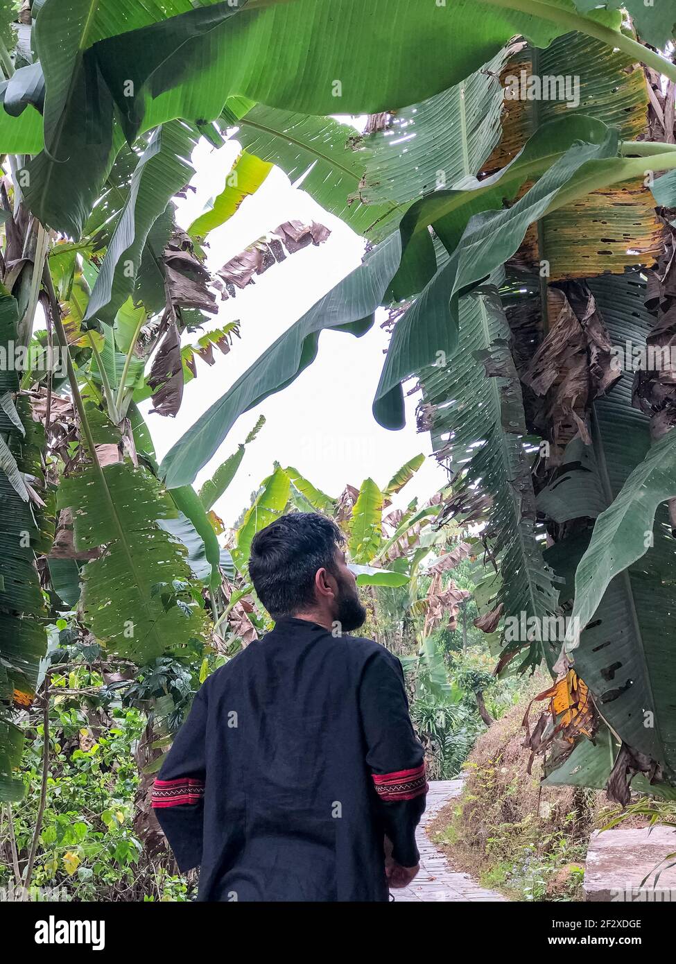 Person in the forest hi-res stock photography and images - Alamy