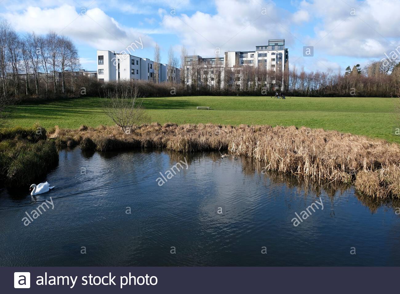 Forthquarter Park, Granton, Edinburgh, Scotland Stock Photo - Alamy