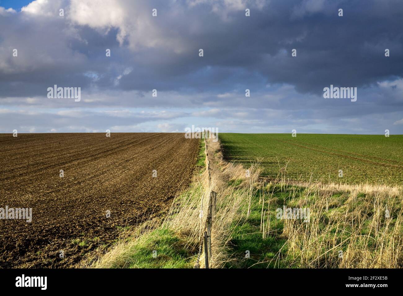 Two different fields hi-res stock photography and images - Alamy