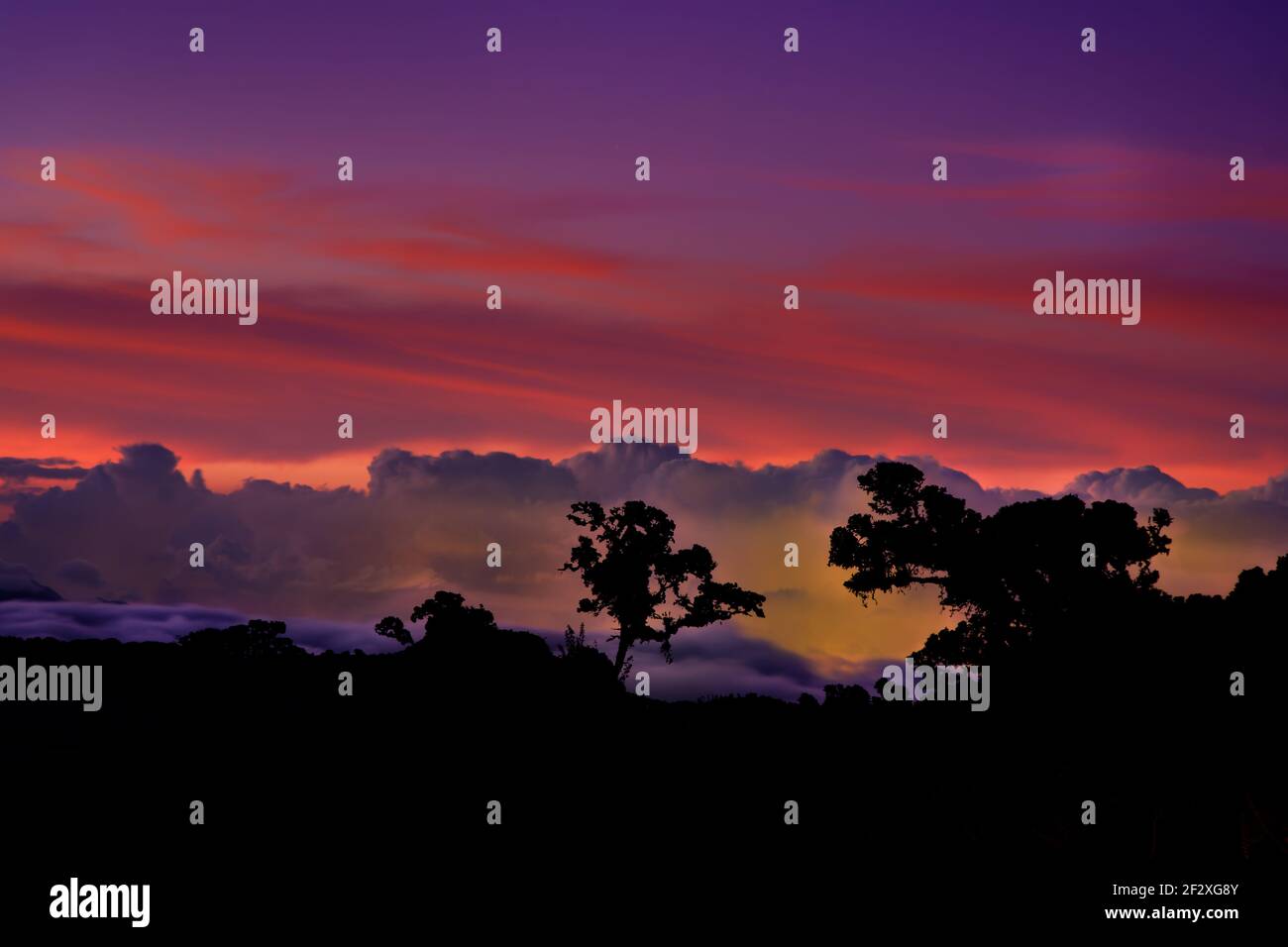 Quetzales hi-res stock photography and images - Alamy