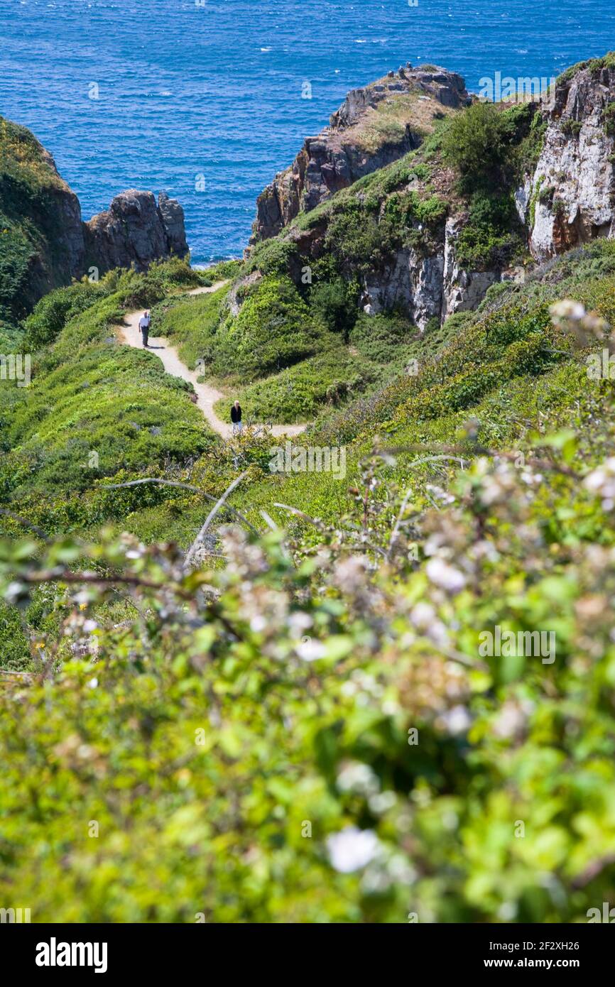 walking along coastal paths on Sark, Channel Islands Stock Photo - Alamy