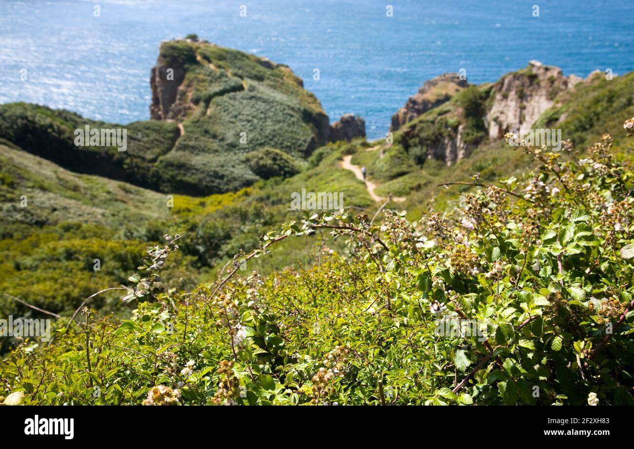 walking along coastal paths on Sark, Channel Islands Stock Photo - Alamy