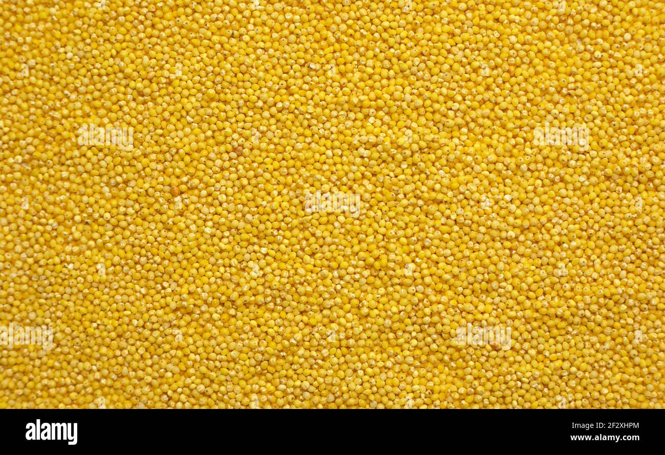 Millet groats closeup. Full frame, top view Stock Photo - Alamy