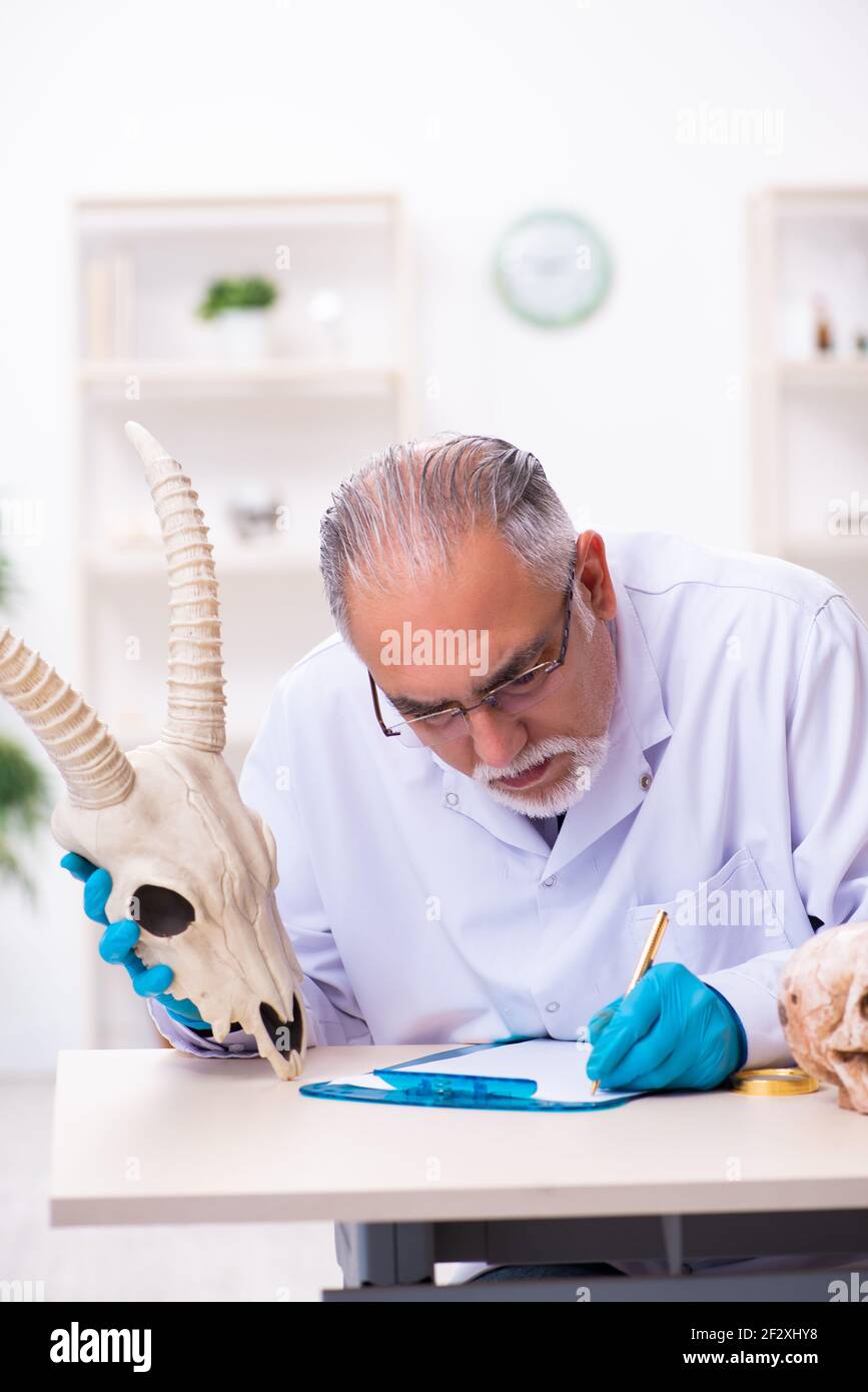 Male archaeologist bone hi-res stock photography and images - Alamy