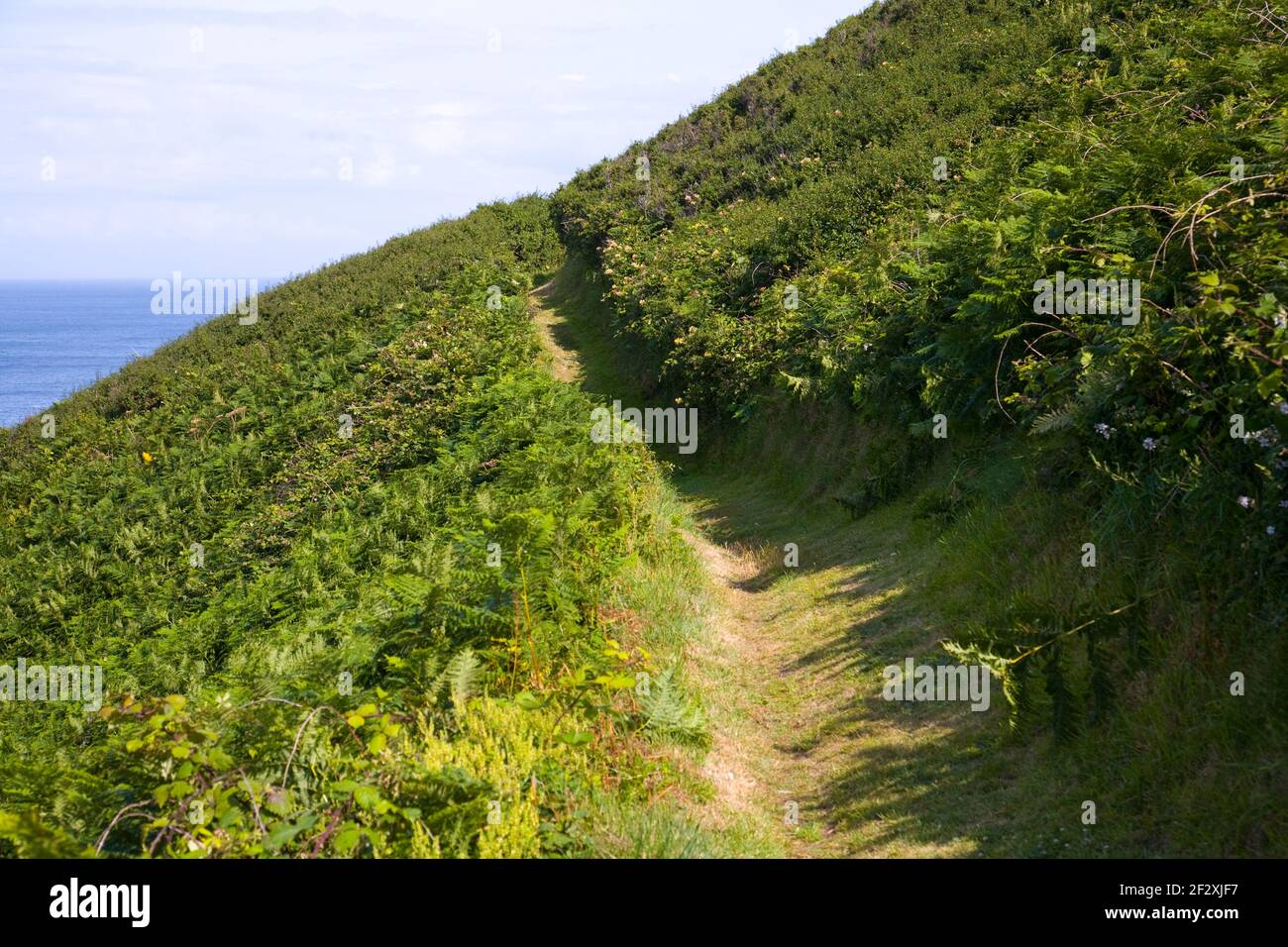 Coatal path hi-res stock photography and images - Alamy
