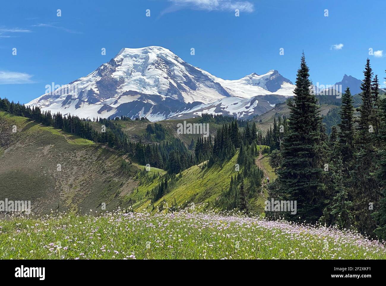 01 skyline divide trail hi-res stock photography and images - Alamy