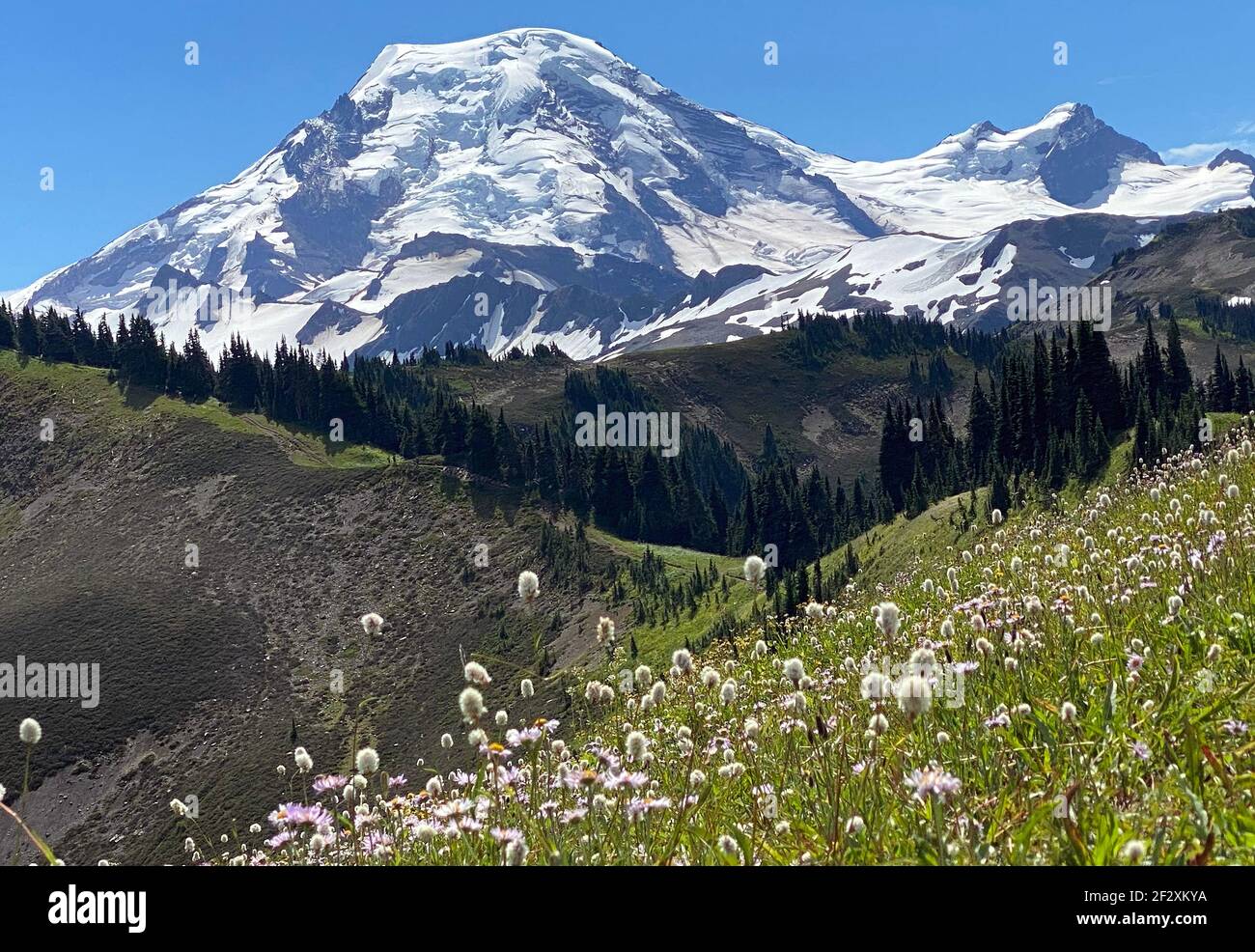 06 skyline divide trail hi-res stock photography and images - Alamy