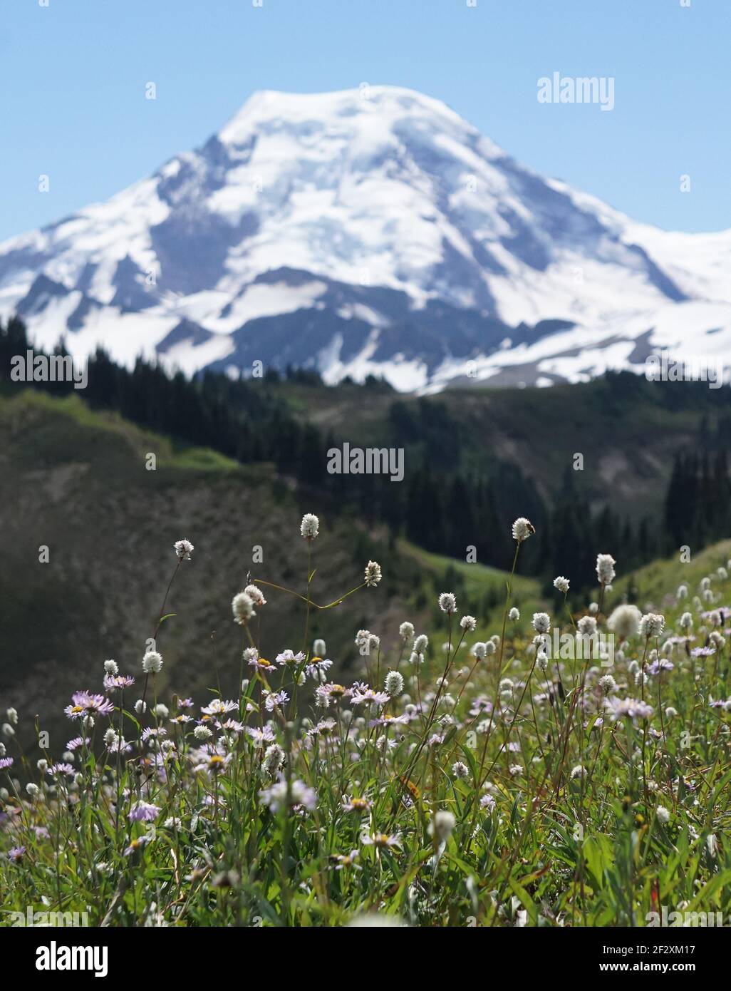 07 skyline divide trail hi-res stock photography and images - Alamy