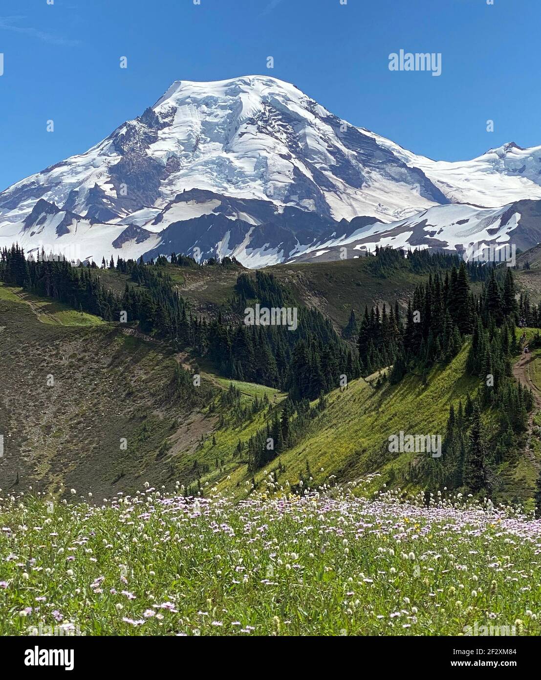 Paradise, WA, USA. 15th Feb, 2021. Mount Baker as seen from the Skyline ...