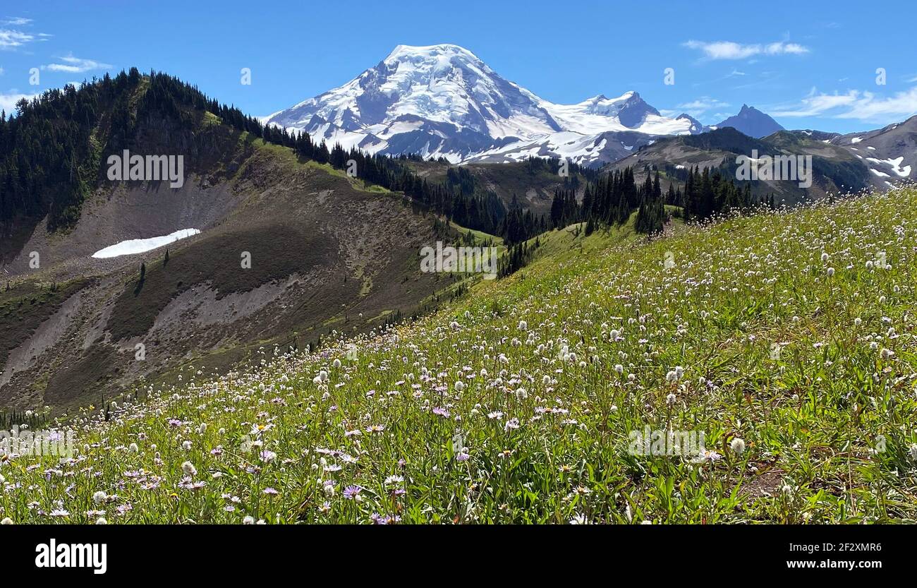 24 skyline divide trail hi-res stock photography and images - Alamy