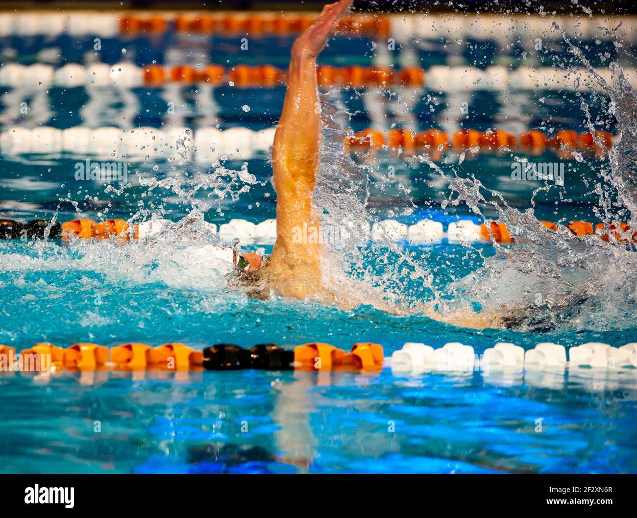 A male backstroke swimmer races in an Olympic pool Stock Photo - Alamy