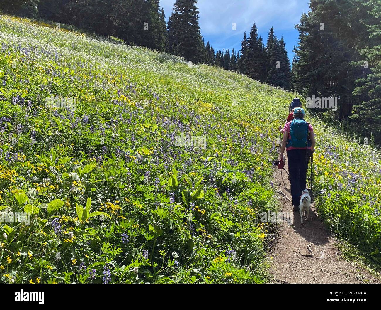 22 skyline divide trail hi-res stock photography and images - Alamy