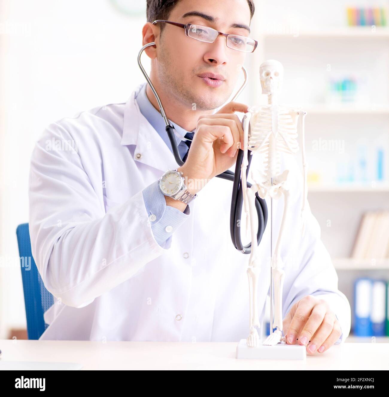 The doctor explaining human body on skeleton Stock Photo - Alamy