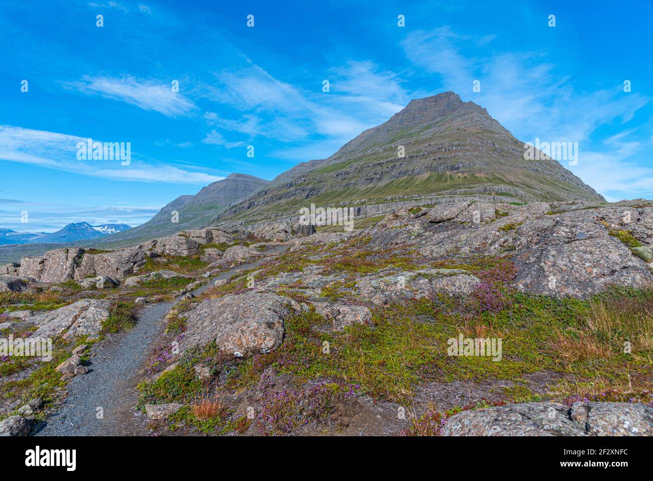 Natural landscape of Reydarfjordur on Iceland Stock Photo - Alamy
