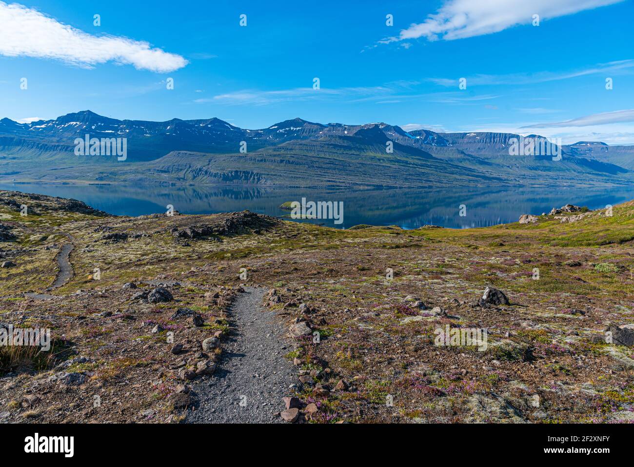 Natural landscape of Reydarfjordur on Iceland Stock Photo - Alamy