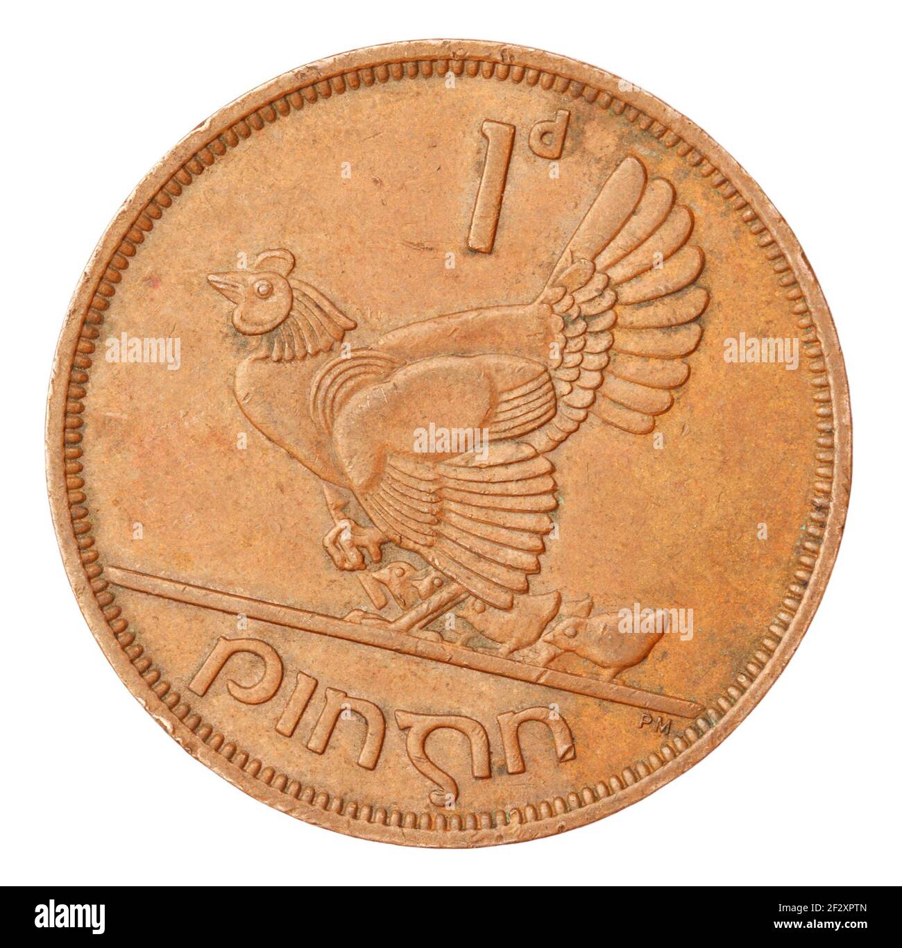 Old Irish Coin of Hen Penny 1d of 1963 close up Stock Photo - Alamy