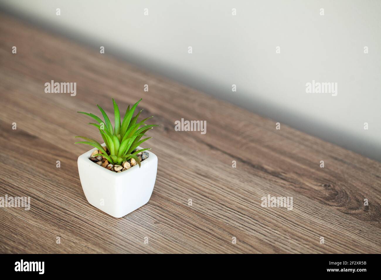 Bathroom window ledge hi-res stock photography and images - Alamy