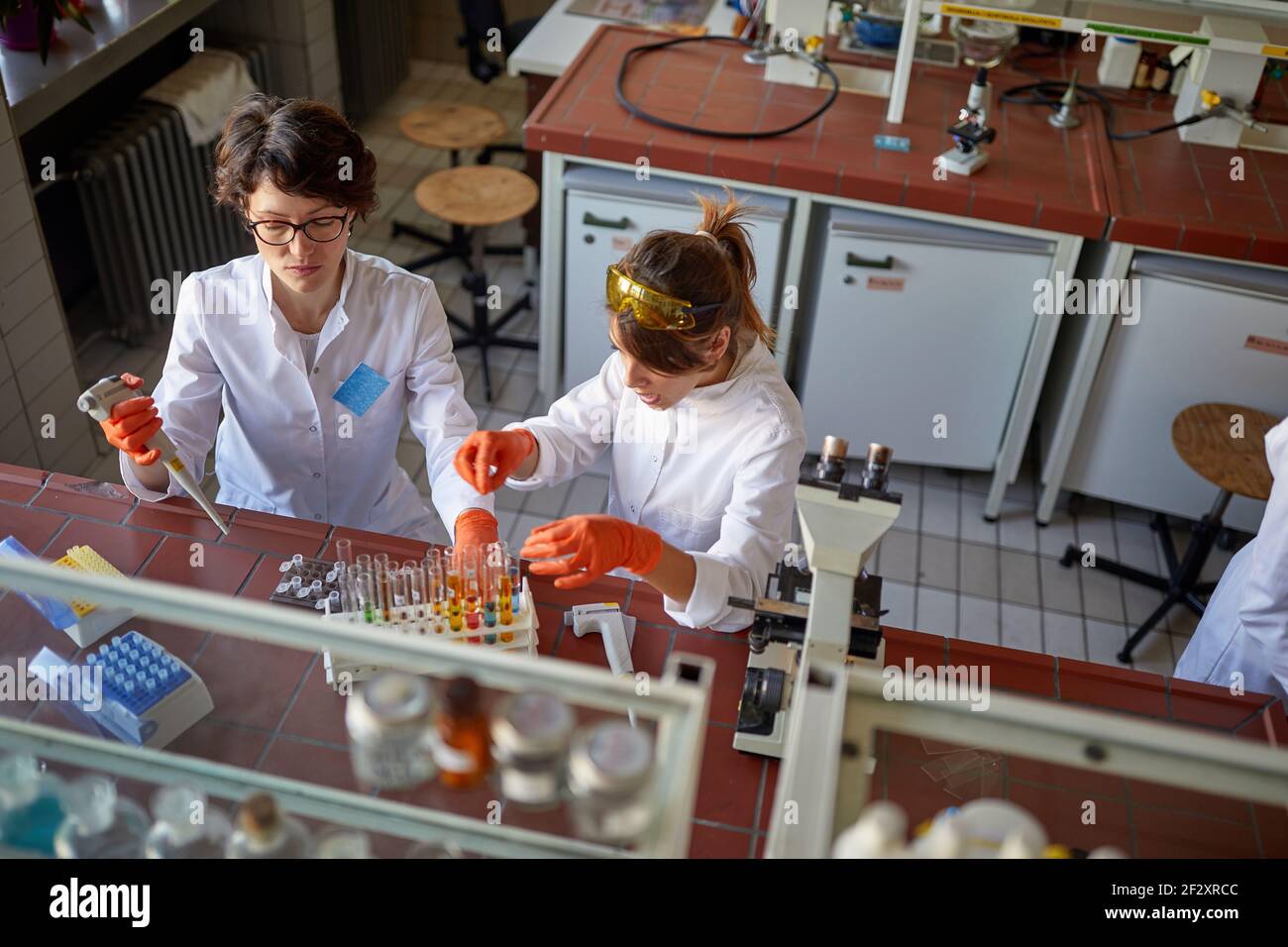 Preparing for experiment hi-res stock photography and images - Alamy