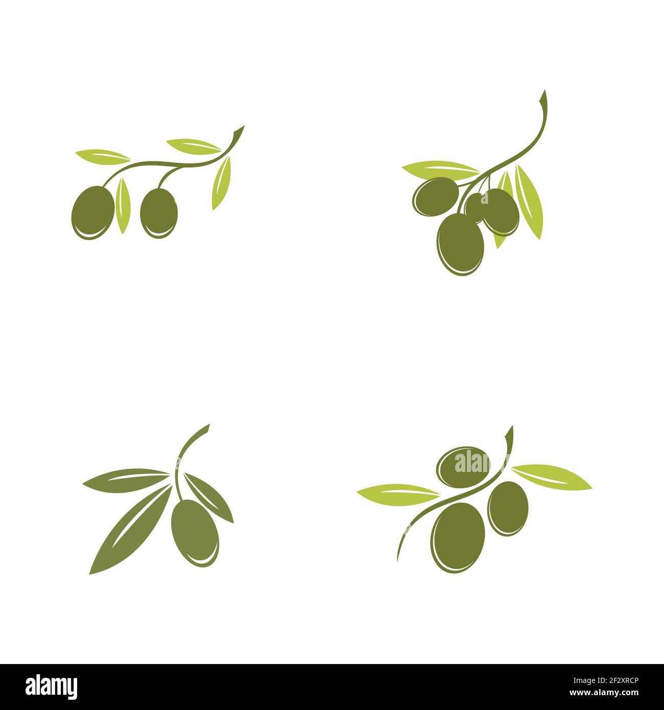 set of Olive logo template vector icon illustration design Stock Vector ...