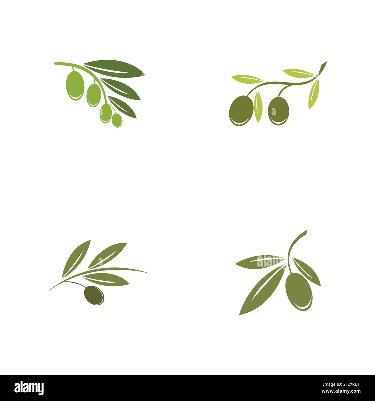Olive icon vector vectors hi-res stock photography and images - Alamy