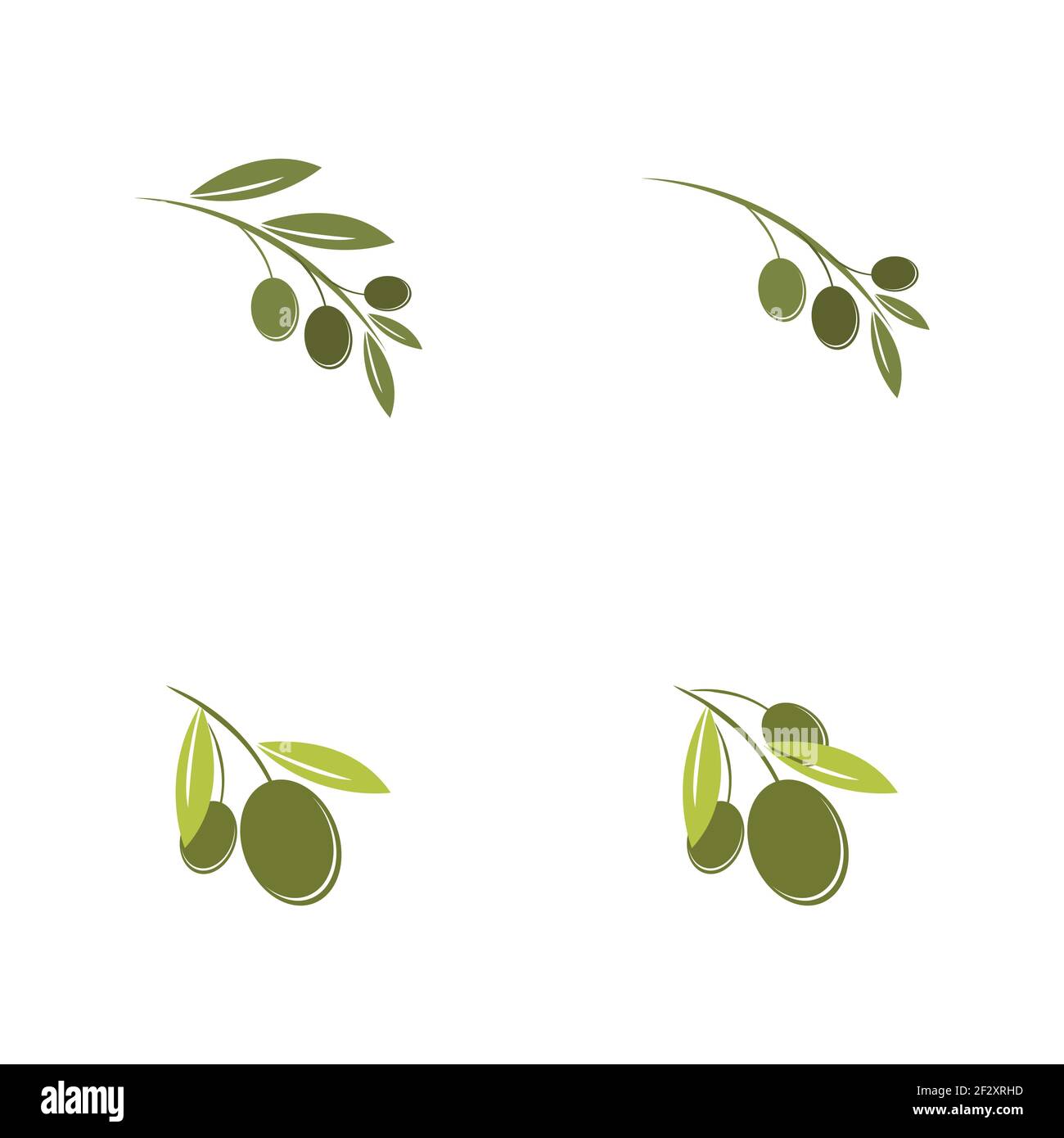 set of Olive logo template vector icon illustration design Stock Vector ...
