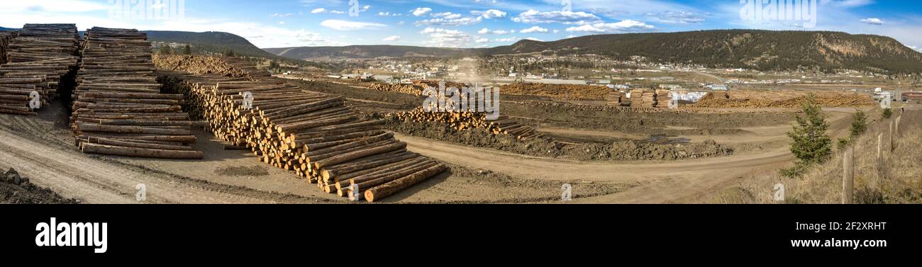 panoramic view of a lumber mill, Williams Lake, BC, Canada Stock Photo ...