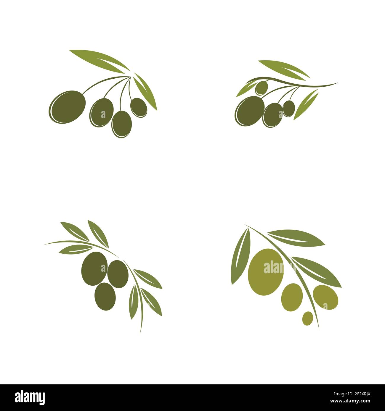set of Olive logo template vector icon illustration design Stock Vector ...