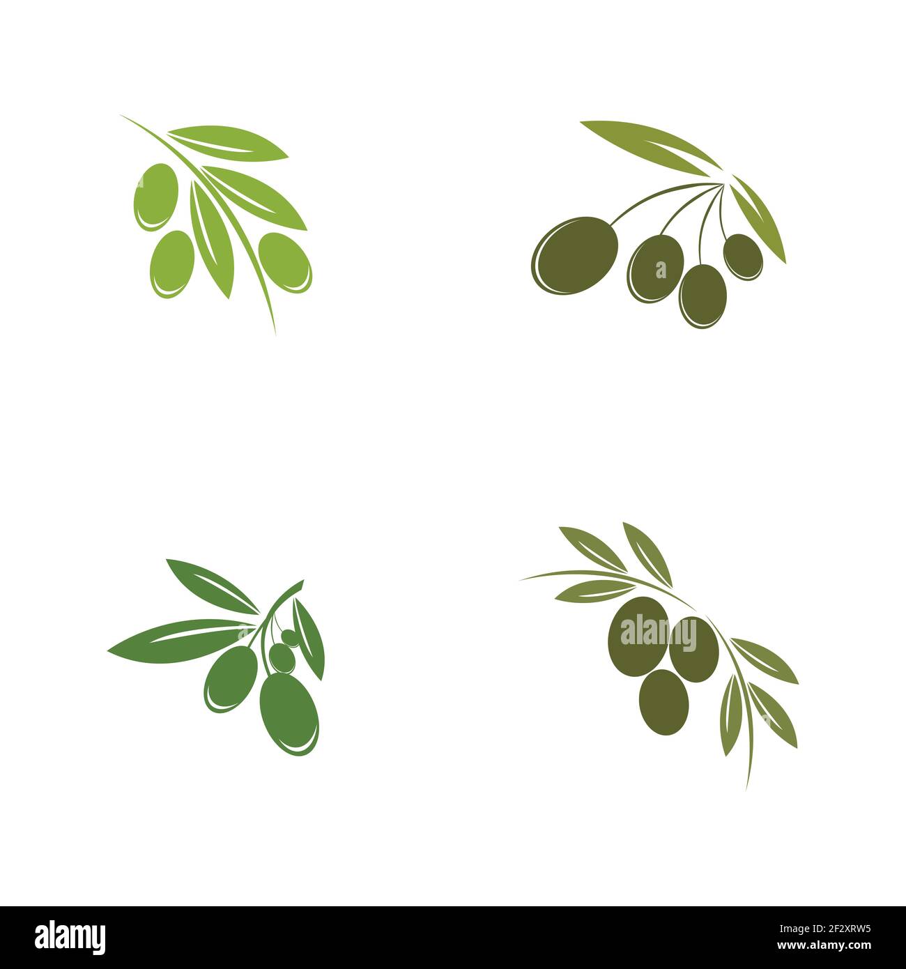 set of Olive logo template vector icon illustration design Stock Vector ...