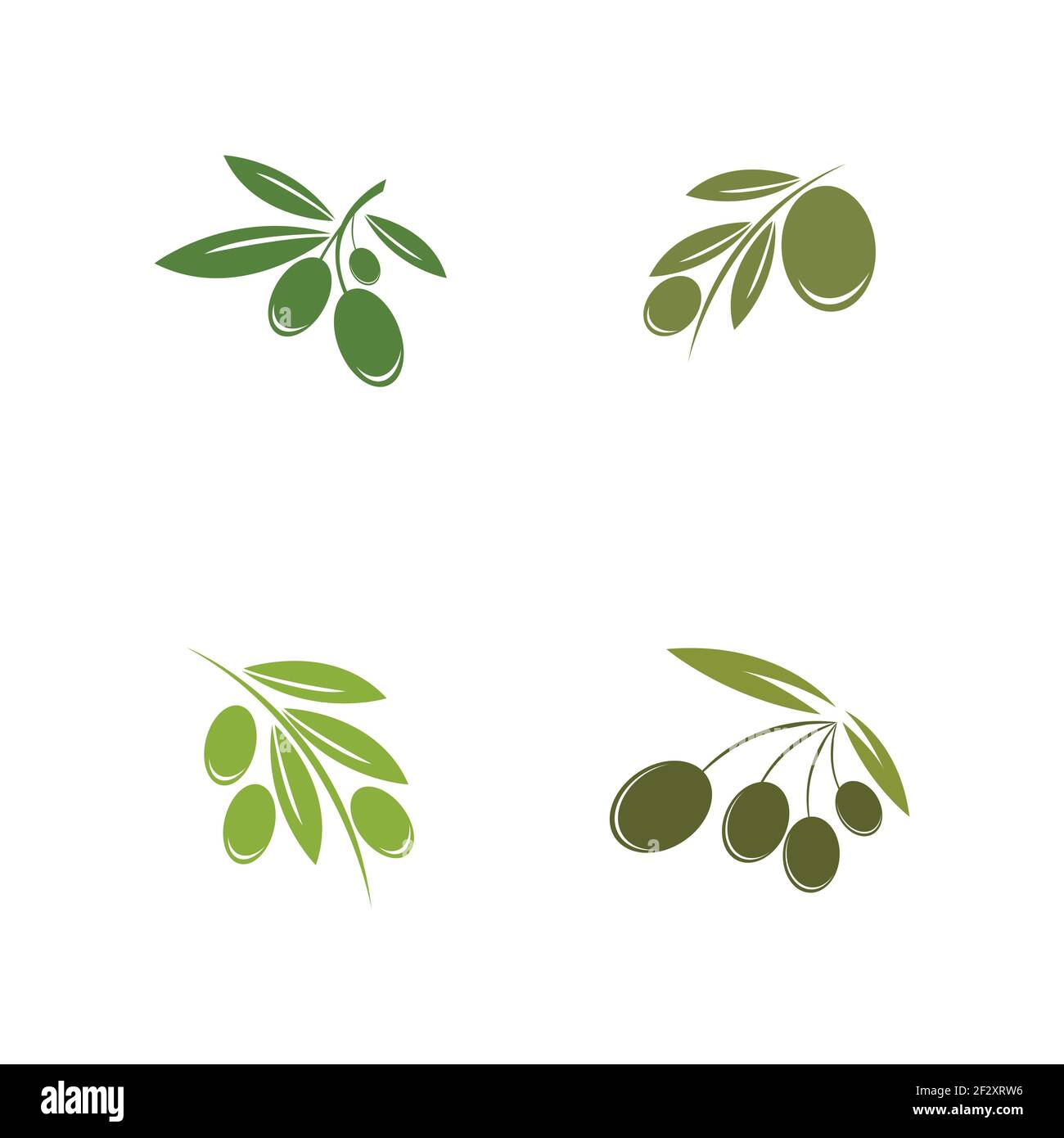 set of Olive logo template vector icon illustration design Stock Vector ...
