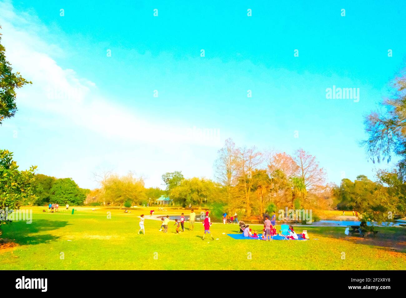 Public Park with Peppermint Trees on Path Stock Photo - Alamy