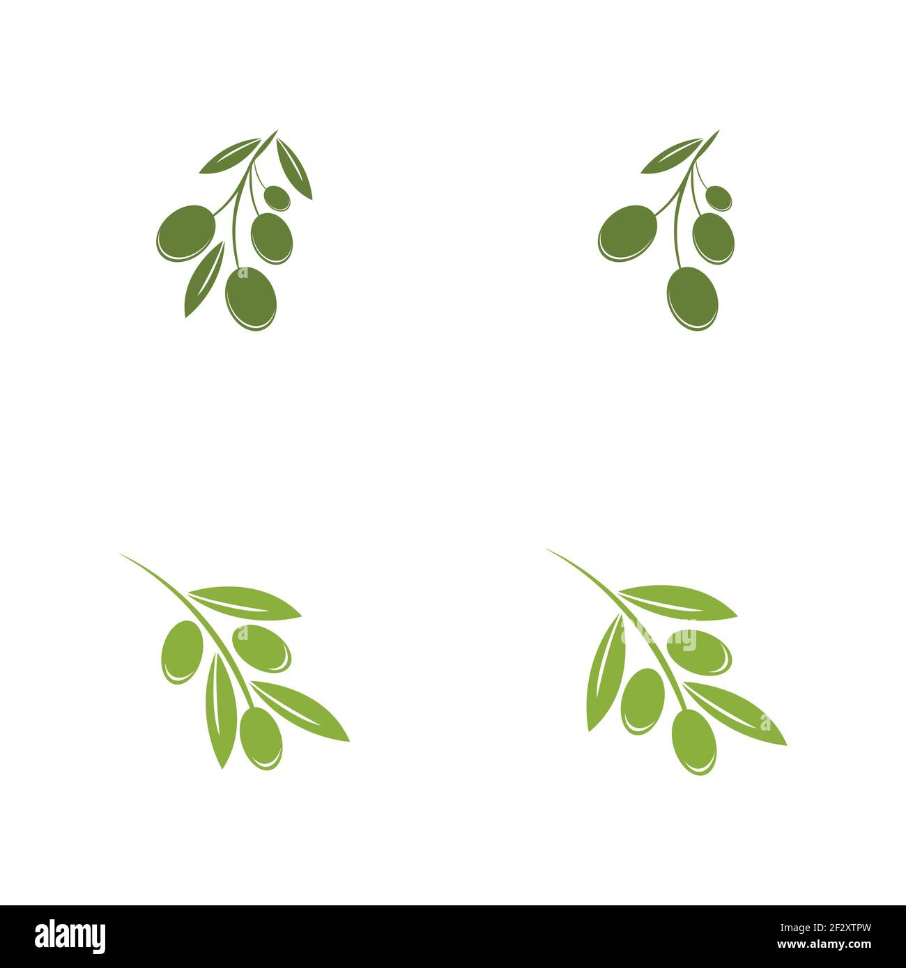 set of Olive logo template vector icon illustration design Stock Vector ...
