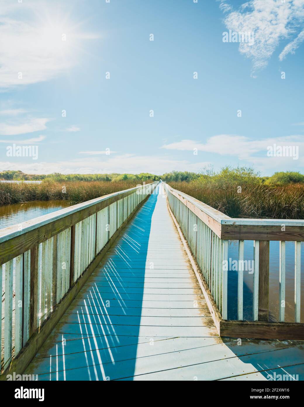 Diverse natural habitats hi-res stock photography and images - Alamy