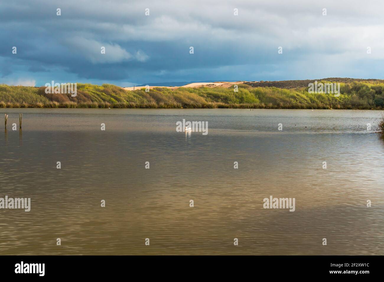 Oso Flaco Lake in Oceano Dunes, California. Oso Flaco is a freshwater ...