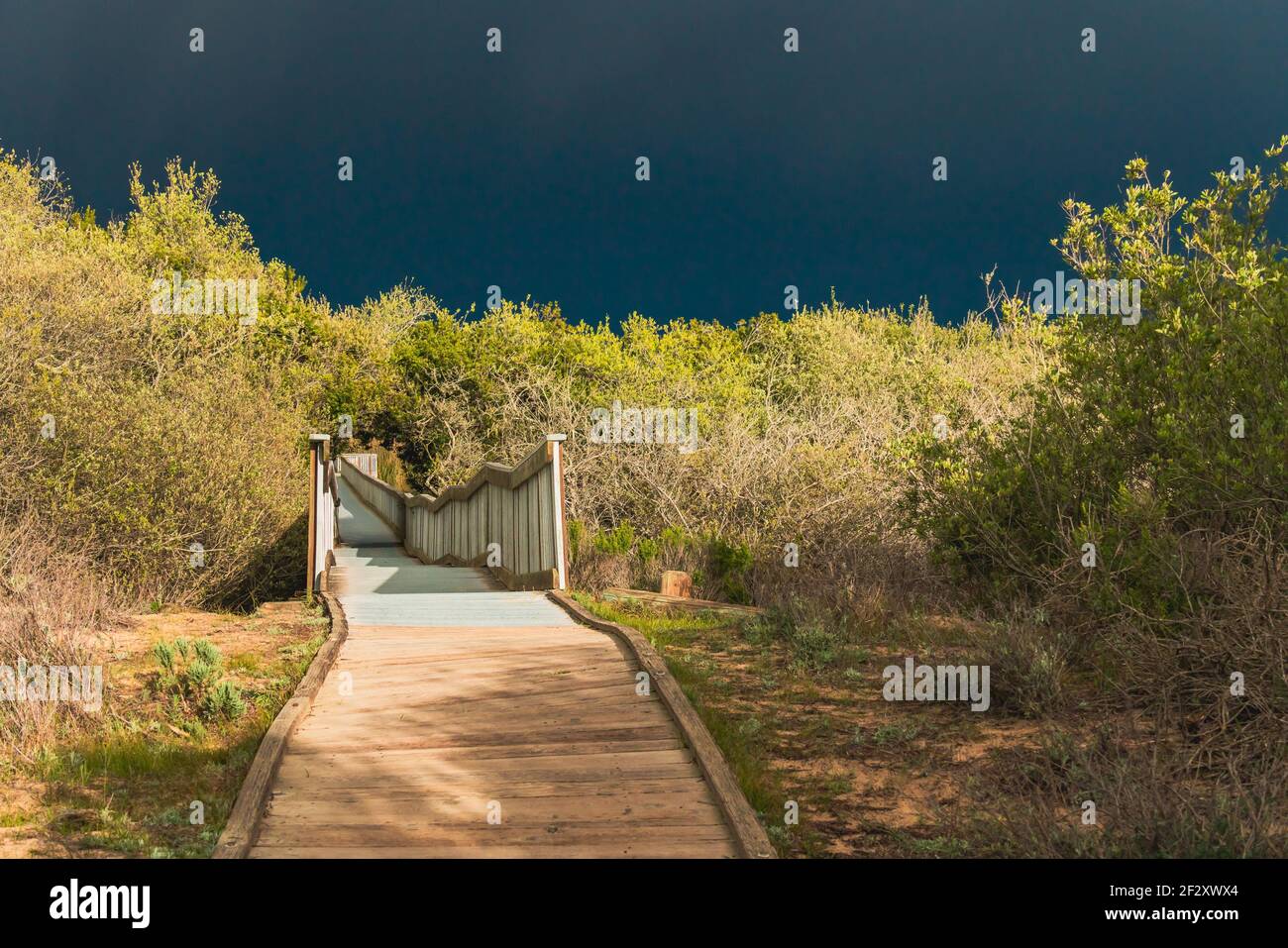 Wooden boardwalk through several diverse natural habitats for viewing ...