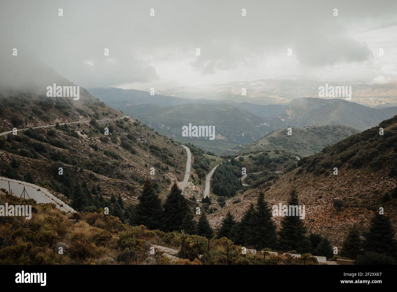 Picturesque spacious hilly terrain with greenery and trees located ...