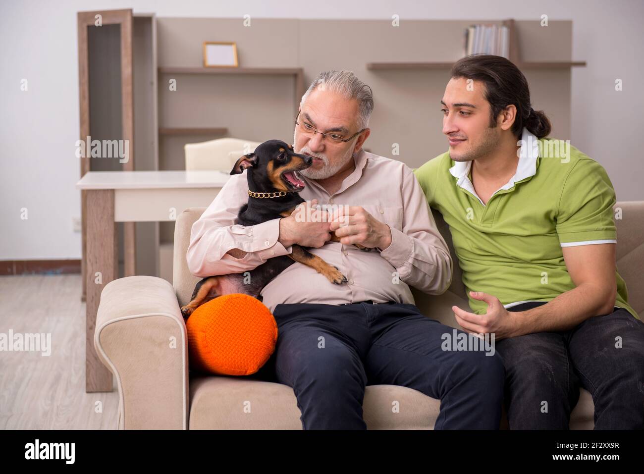 Two men with dog in the room Stock Photo - Alamy