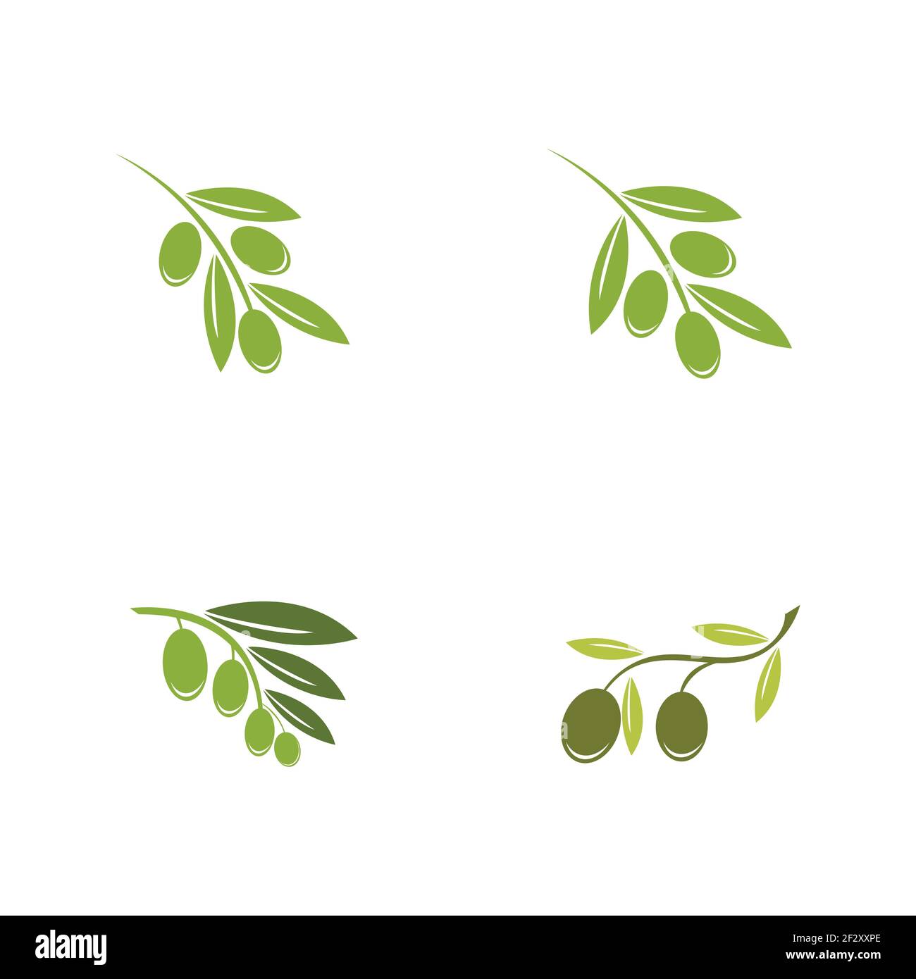set of Olive logo template vector icon illustration design Stock Vector ...