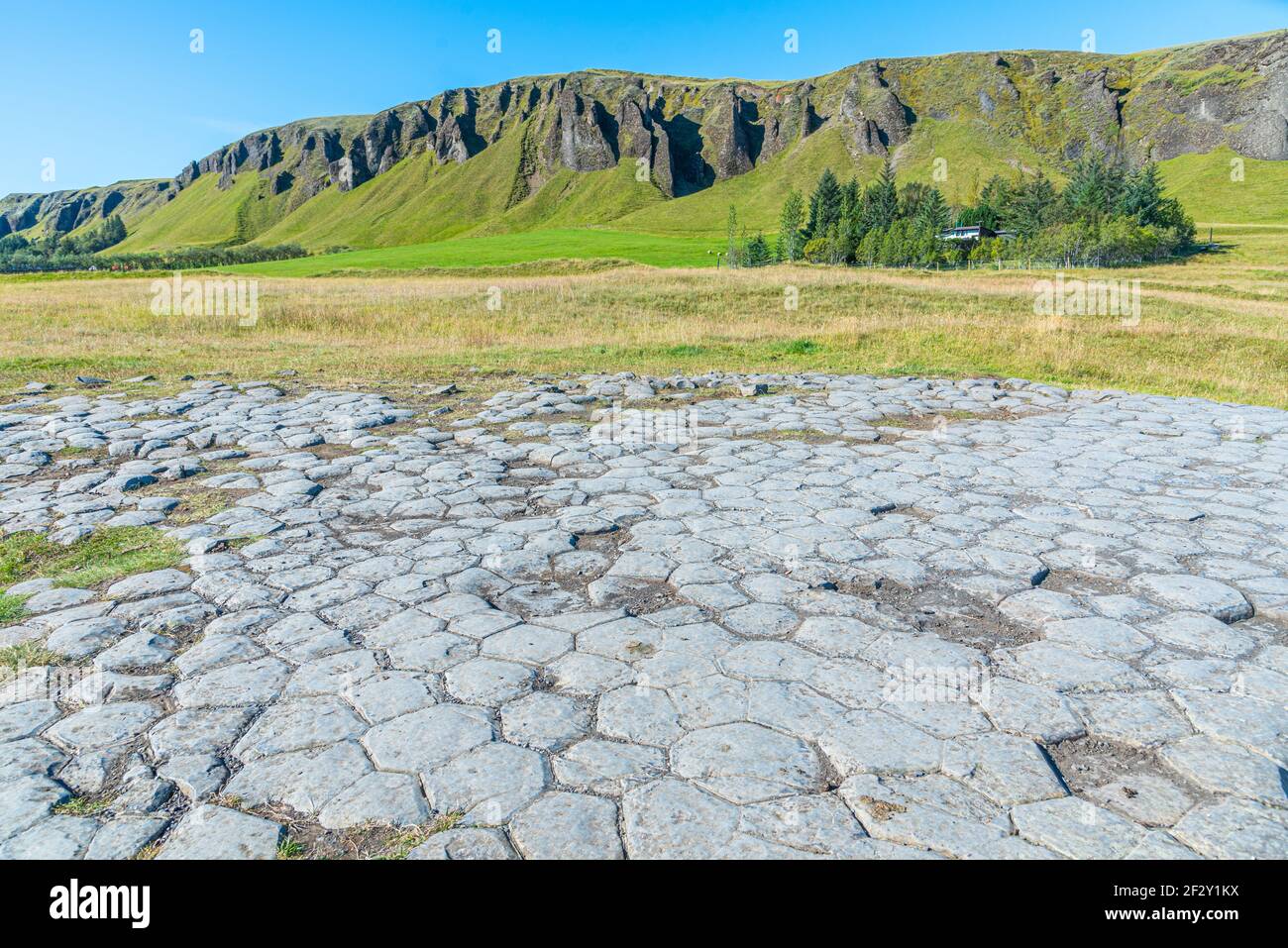 Kirkjugolf rock formation resembling church floor, Iceland Stock Photo ...