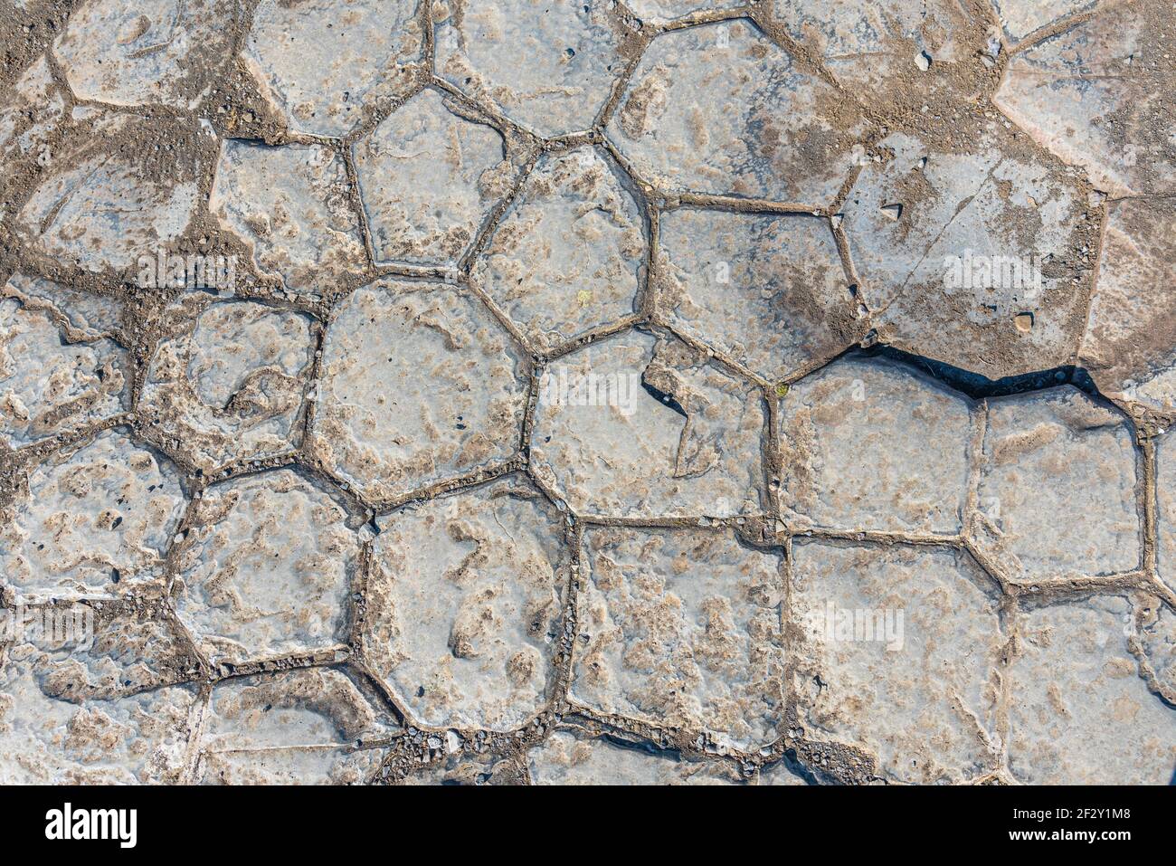 Kirkjugolf rock formation resembling church floor, Iceland Stock Photo ...