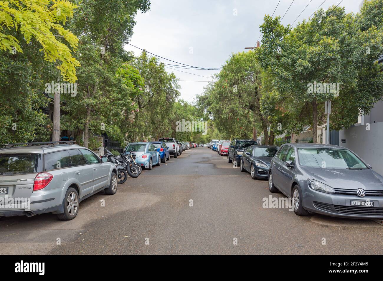 A tree lined suburban street in the inner Sydney suburb of Newtown, New ...