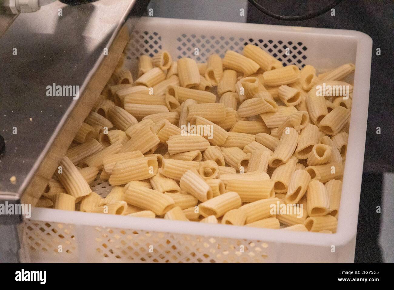 Tray of handmade rigatoni pasta in an Italian kitchen in a restaurant ...